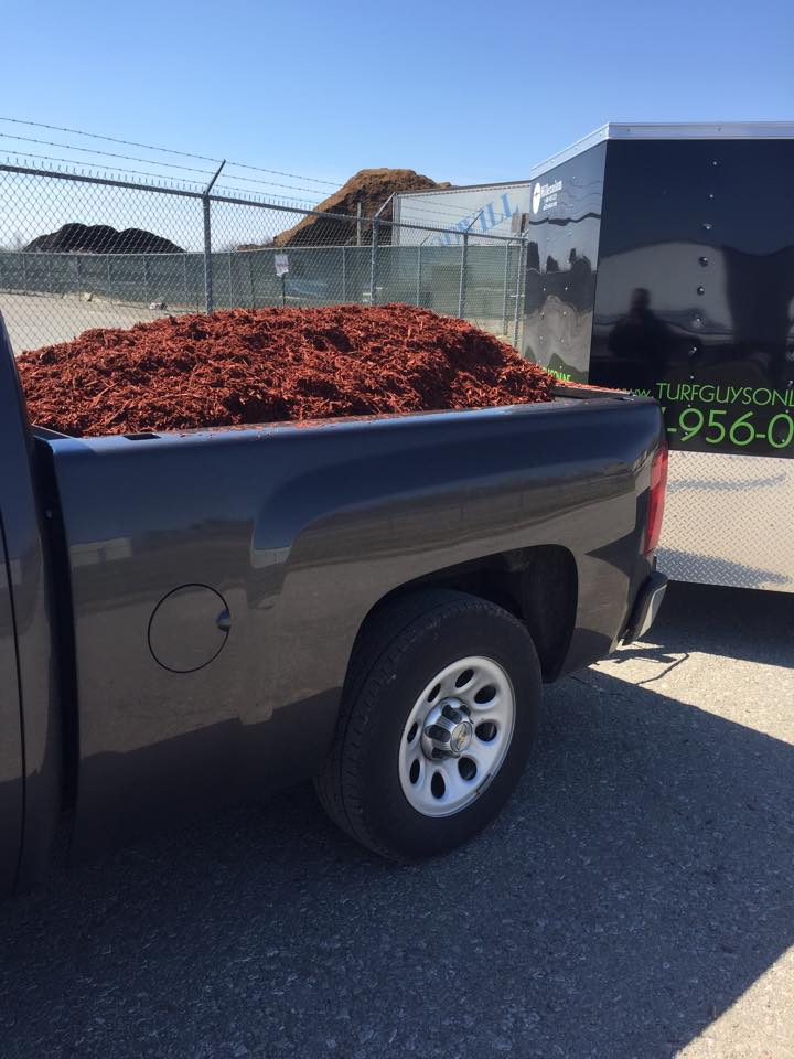 The Turf Guys | Professional & Affordable Lawn Care Services